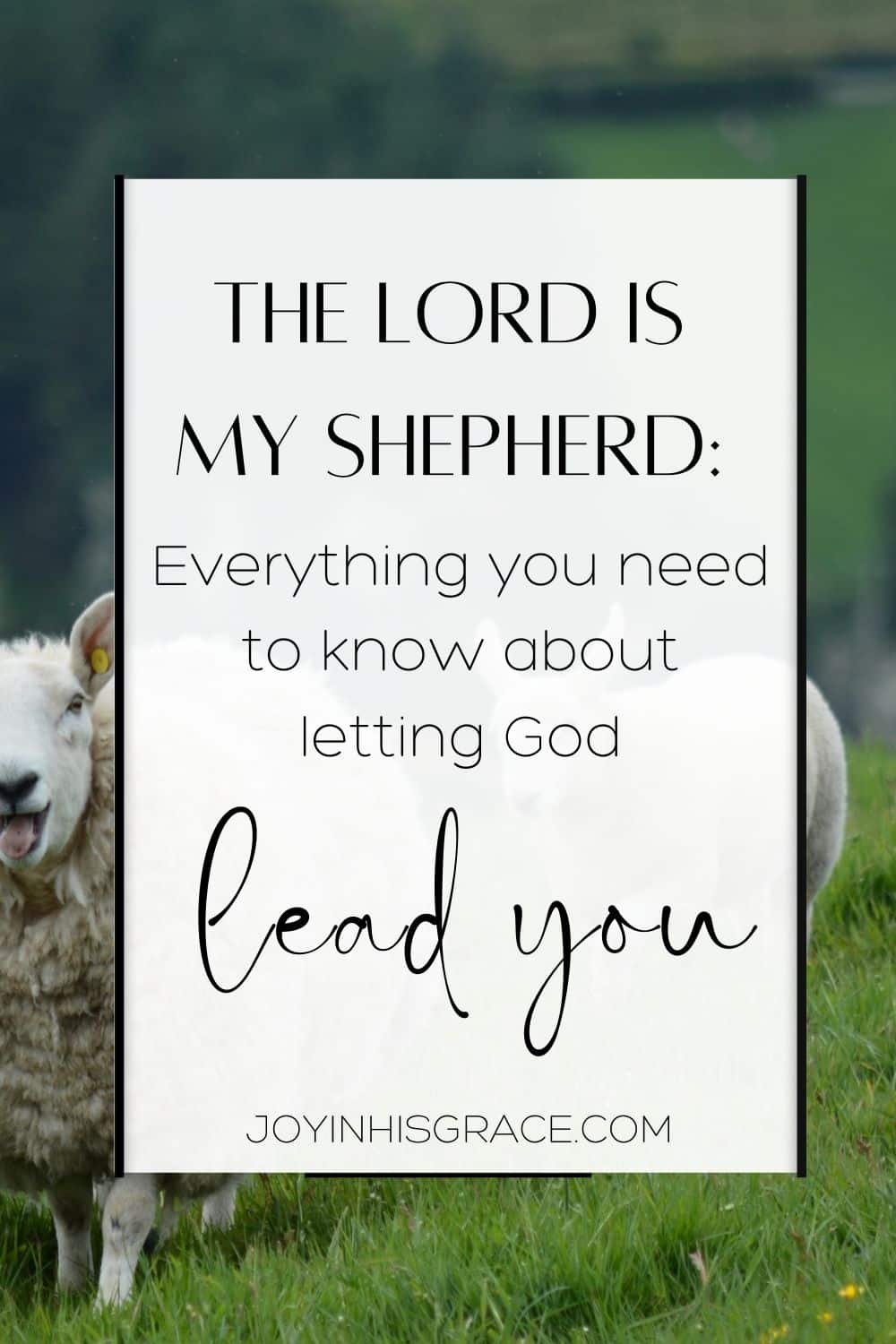How To Let God Be Your Shepherd - Joy In His Grace