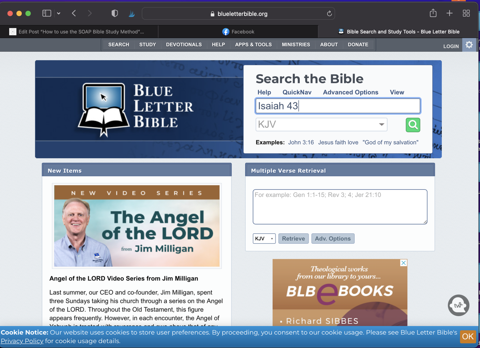 How to Use The SOAPS Bible Study Method - Joy In His Grace